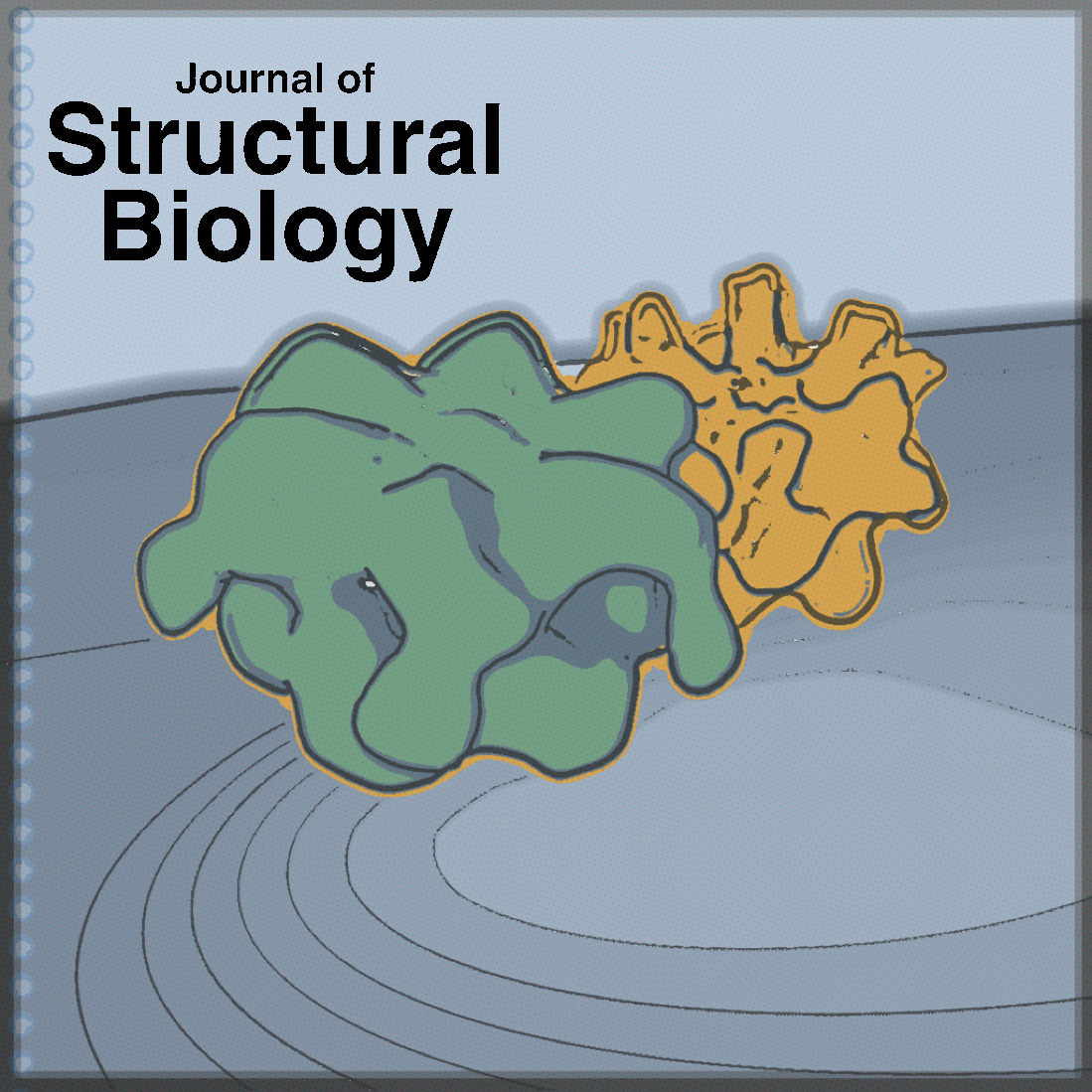 Nucleotide-dependent conformational changes in the N-Ethylmaleimide ...